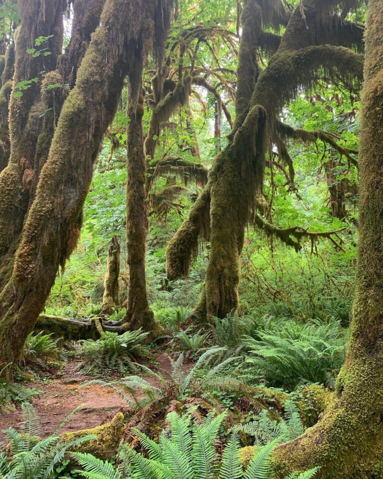 Port Angeles WA to Astoria OR - Pacific Coast Road Trip | Day 3 | You ...