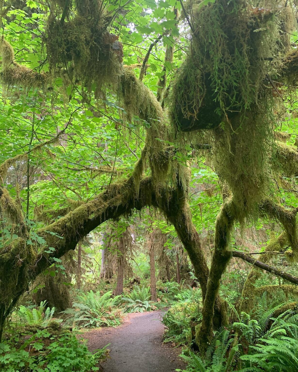 Port Angeles WA to Astoria OR - Pacific Coast Road Trip | Day 3 | You ...