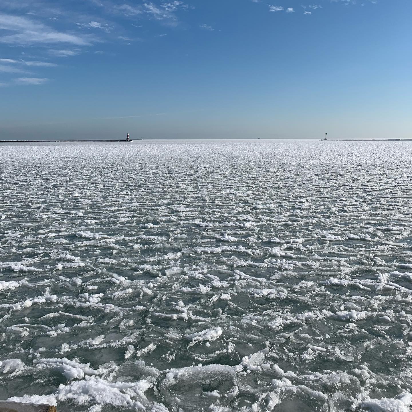 You Must Believe in Spring: A Love Letter to the Chicago Winter | You ...